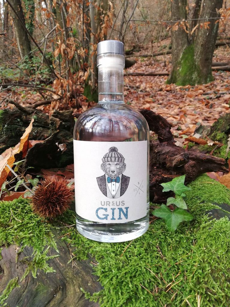 Der Ursus Gin im großen Test ᐅ Ginfinitiv Gin Testbericht